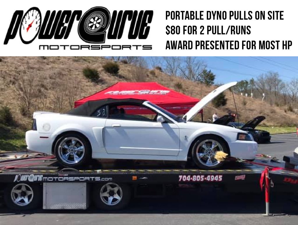 Mustangs at the Mountain